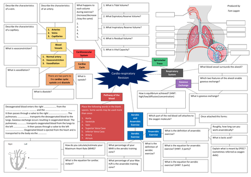 Unit 1 - Anatomy - Respiratory System | Teaching Resources