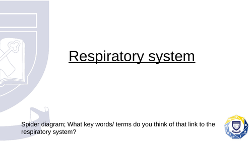 Unit 1 - Anatomy - Respiratory System | Teaching Resources