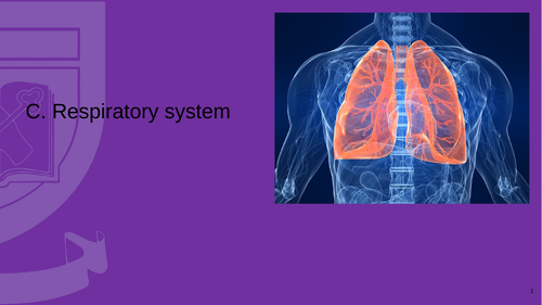 Unit 1 - Anatomy - Respiratory System | Teaching Resources