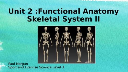 Unit 1- Anatomy - Skeletal System | Teaching Resources