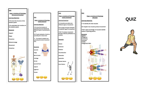 Unit 1- Anatomy - Skeletal System | Teaching Resources