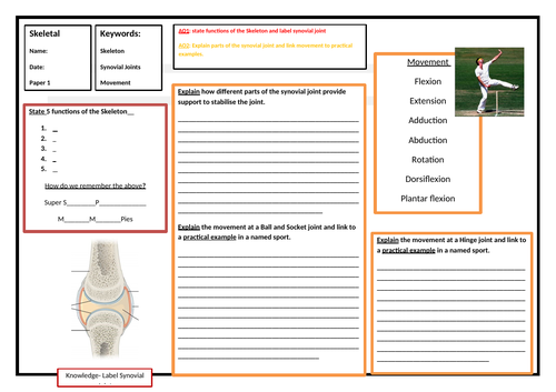 Unit 1- Anatomy - Skeletal System | Teaching Resources