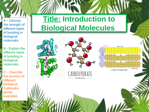 AQA A Level Biology (As Level) - Introduction to Biological Molecules ...