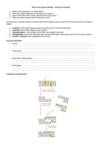 6 3 Manipulating Genomes Teaching Resources