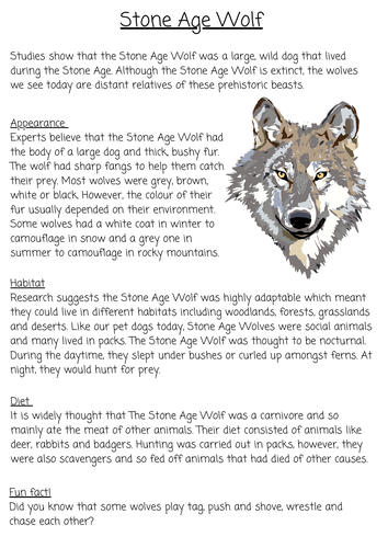 Non-chronological Report Stone Age Wolf | Teaching Resources