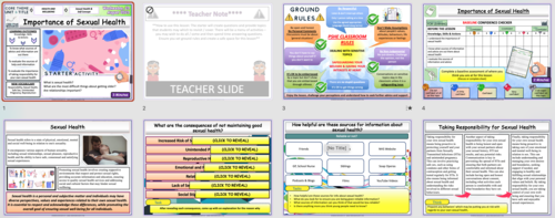 Sexual Health - Young adults KS5 | Teaching Resources
