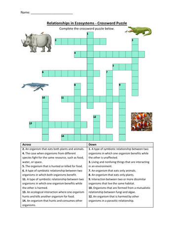 Relationships in Ecosystems - Crossword Puzzle Worksheet Activity ...