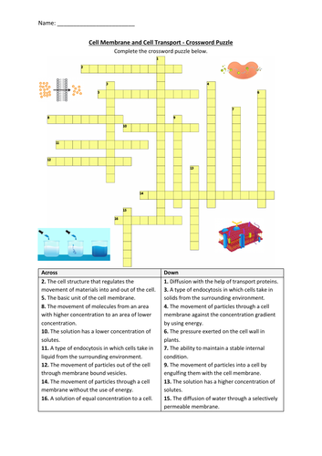 Cell Membrane and Cell Transport - Crossword Puzzle Worksheet Activity ...