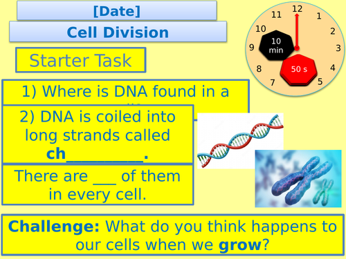AQA Biology Unit 1 - L5 Cell Division (Mitosis) | Teaching Resources