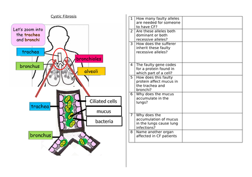 GCSE Lesson 12 Cystic Fibrosis | Teaching Resources