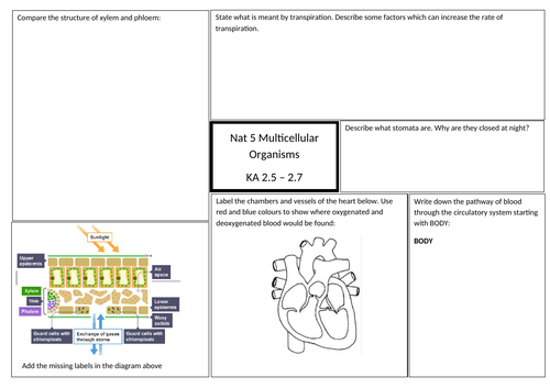 National 5 Biology Revision Mats | Teaching Resources