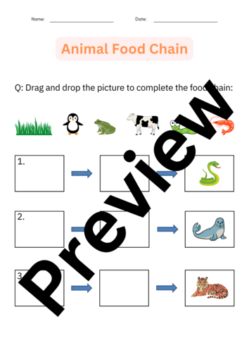 Printable Animal Food Chain Worksheet and Activity - Cut And Paste for ...