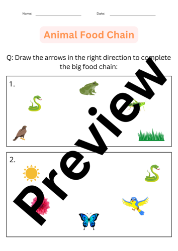 Printable Animal Food Chain Worksheet and Activity - Cut And Paste for ...