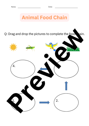 Printable Animal Food Chain Worksheet and Activity - Cut And Paste for ...