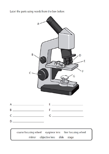 Year 7 Observing Cells | Teaching Resources