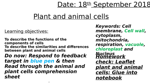 Cells and Observing Cells | Teaching Resources