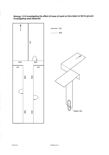 Seed dispersal | Teaching Resources