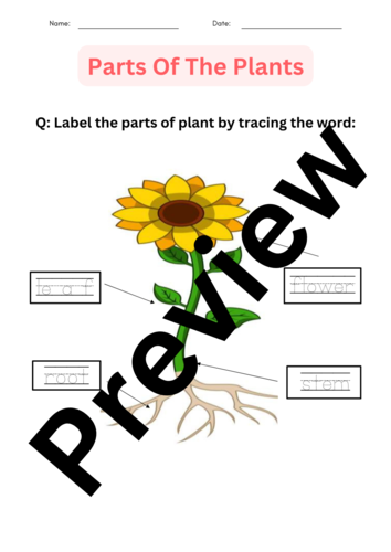 Printable Activities parts of a plant worksheet for kindergarten ...