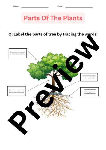 Printable Activities parts of a plant worksheet for kindergarten ...