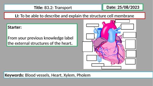 IB Biology: B3.2 Transport (first exams in 2025) | Teaching Resources