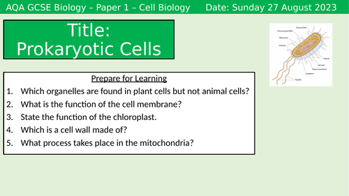 AQA GCSE Biology - Cell Biology - Structure | Teaching Resources