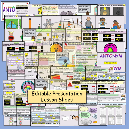 Antonyms Synonyms PowerPoint Presentation Worksheets Flashcards ...