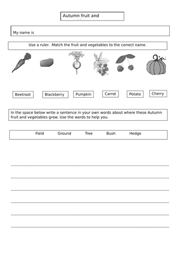 Autumn bundle 10 worksheets KS1 pupils: | Teaching Resources