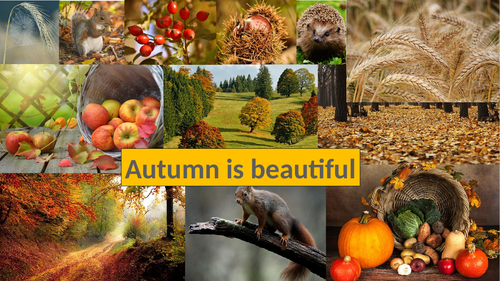 EY/KS1 Signs of Autumn PP 4 lessons. | Teaching Resources