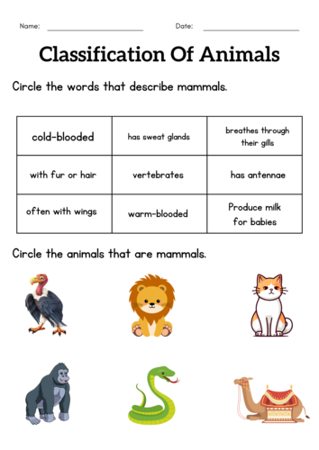 Classification of animals worksheet for grade 1 - animal classification ...