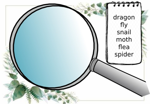 Key Stage One Minibeast Phonics Continuous Provision | Teaching Resources