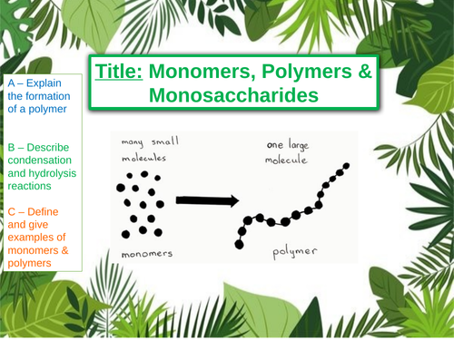 AQA A Level Biology AS Level - Monomers, Polymers and Monosaccharides ...