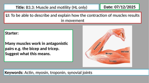 IB Biology: B3.3 Muscle and Motility (first exams in 2025) | Teaching ...