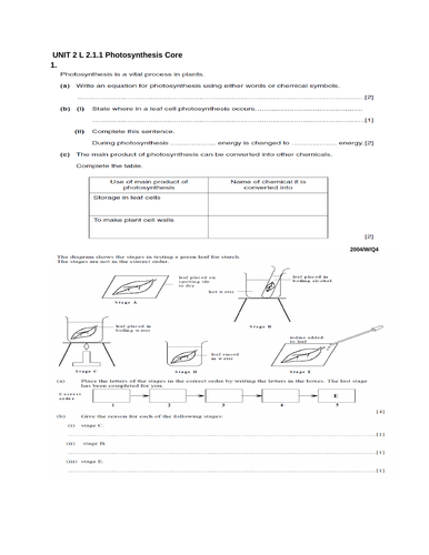 Photosynthesis limiting factors | Teaching Resources