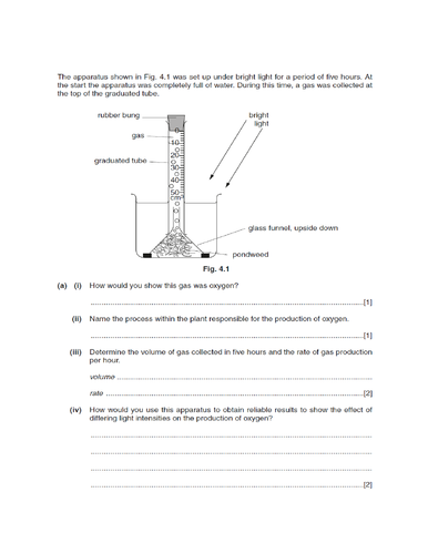 Photosynthesis limiting factors | Teaching Resources