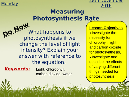 Photosynthesis limiting factors | Teaching Resources