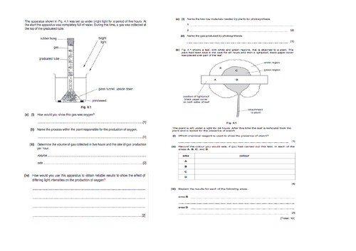 Photosynthesis | Teaching Resources