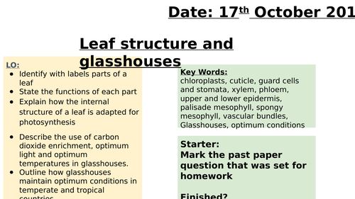 Plant leaf structure | Teaching Resources