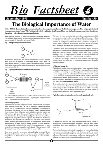 IB A1.1 WATER - FULL LESSON FOR NEW IB 2025 | Teaching Resources