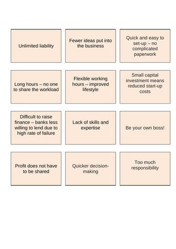 Sole Traders (Lesson 13) - GCSE Business | Teaching Resources