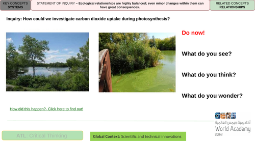 Outstanding Inquiry based learning Photosynthesis and Respiration ...