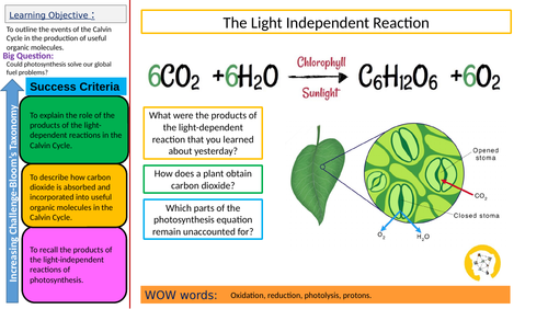 Photosynthesis - Oxford AQA A Level Biology | Teaching Resources