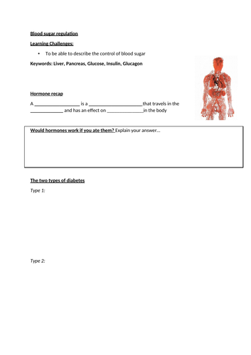 OCR GCSE Biology - The Human Body | Teaching Resources