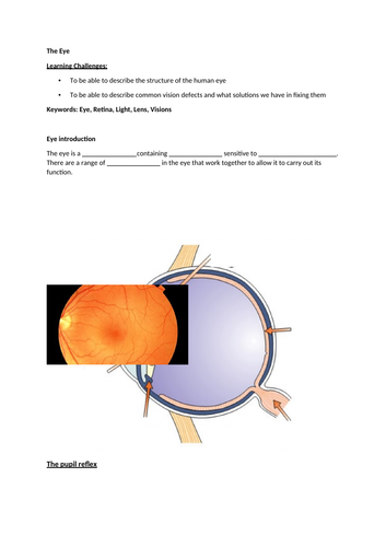OCR GCSE Biology - The Human Body | Teaching Resources