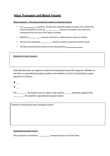 OCR GCSE Biology - The Human Body | Teaching Resources