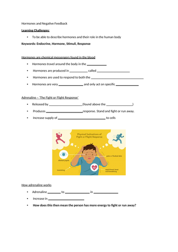 OCR GCSE Biology - The Human Body | Teaching Resources