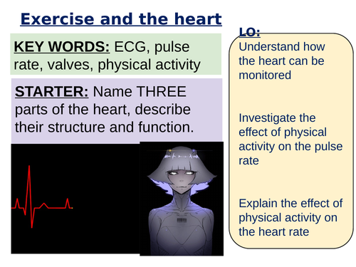 THE HEART | Teaching Resources