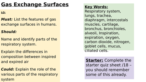 Gas exchange | Teaching Resources