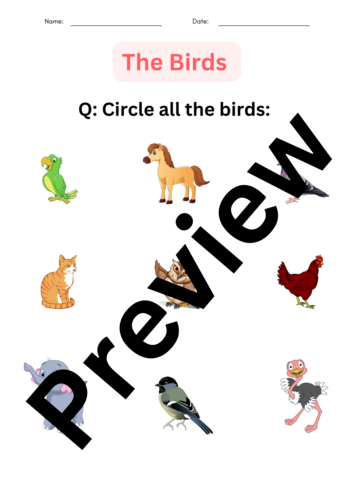 printable matching and Identify birds worksheet for kindergarten ...