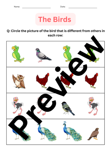 printable matching and Identify birds worksheet for kindergarten ...