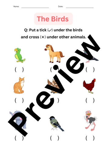 printable matching and Identify birds worksheet for kindergarten ...